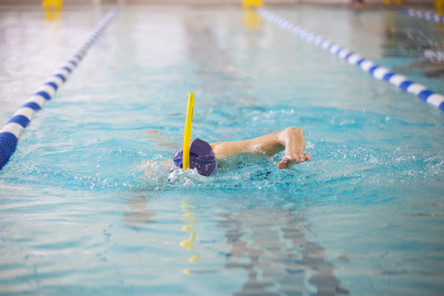 YMCA SF Aquatics | Dive In